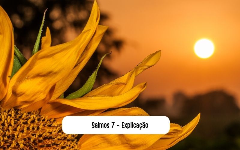 Salmos 7 – 2 Versões da Bíblia (ARC e NTLH) + Explicação